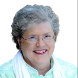 Unraveling the mysteries of "second the motion" - Jurassic Parliament